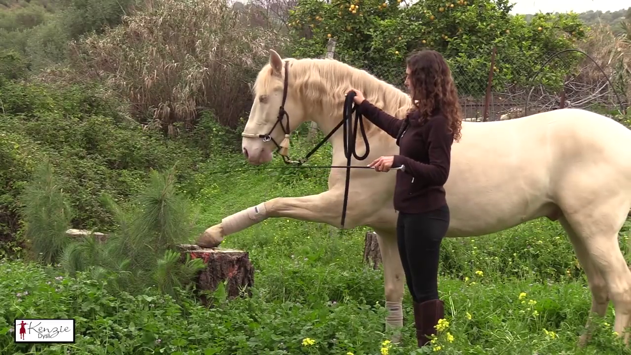 How the Spanish Walk works longer and higher - Kenzie Dysli - Liberty ...