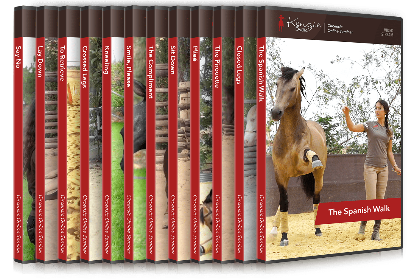 Circensic Online Seminar - Kenzie Dysli - Liberty Dressage
