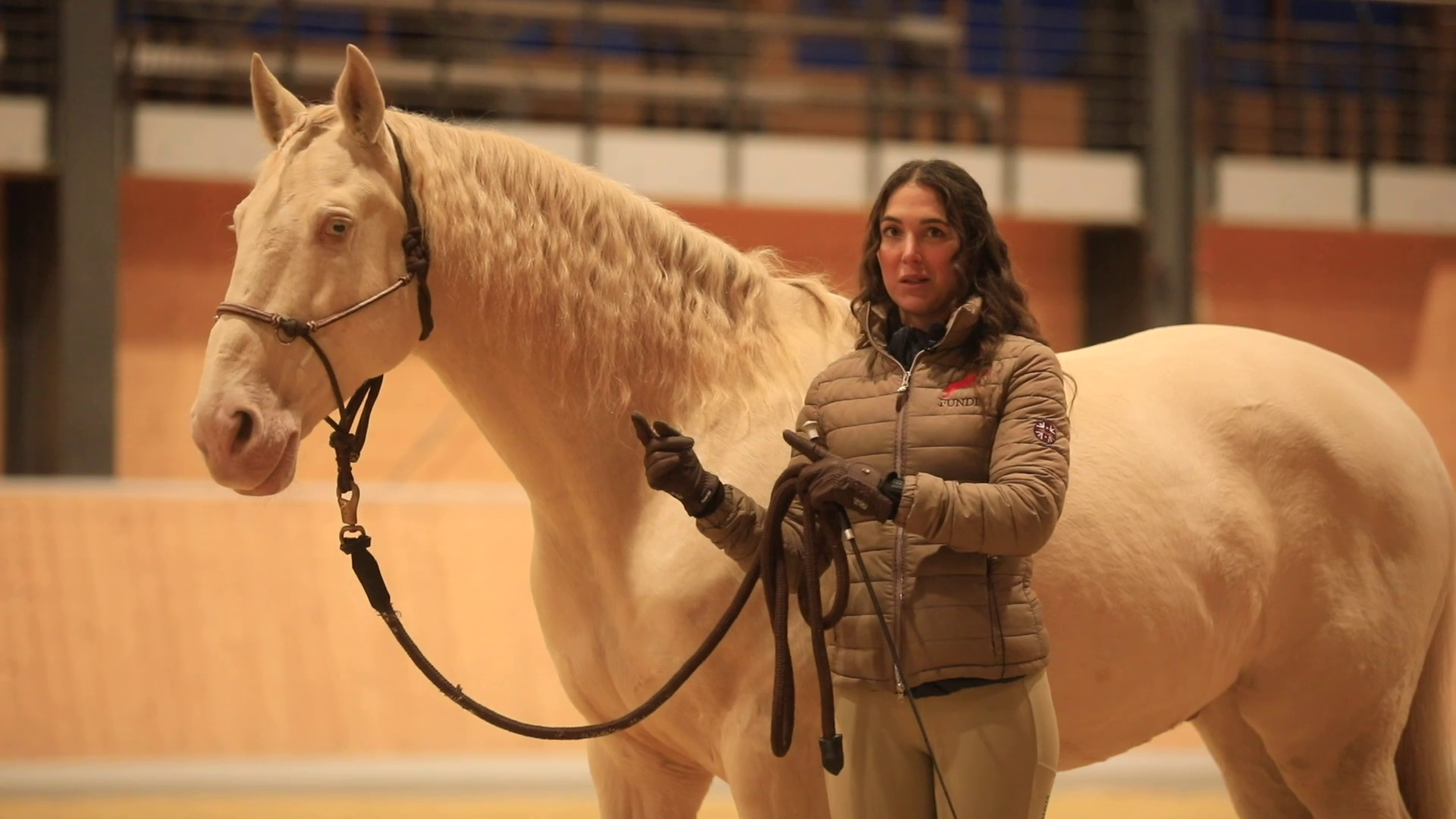 How to keep the attention of your horse during liberty training ...